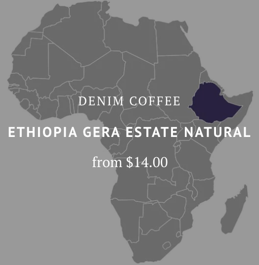 Specialty Coffee - Single Origin & Blends – Denim Coffee